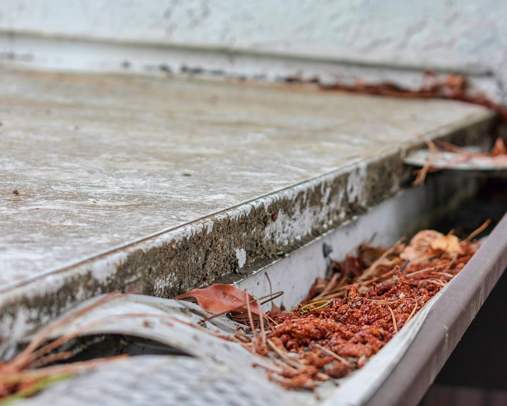 Gutter Cleaning Newcastle Upon Tyne: Specialised Services for ...