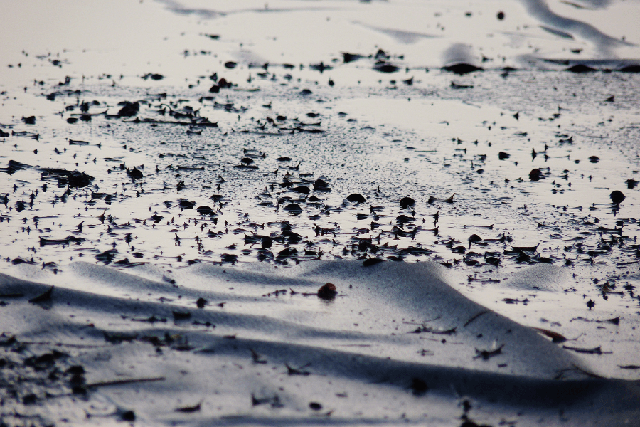 Moisture Management: Understanding the Various Types in Industrial and ...