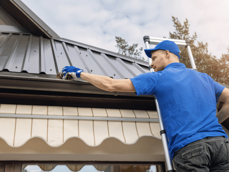 Sheet & Cladding for Industrial Buildings: Install Guide | Industrial ...